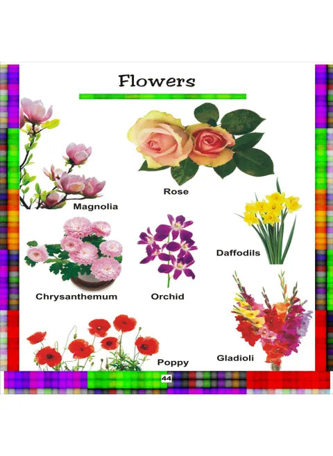 MY LITTLE PICTIONARY C – shop.everonwardpublishers